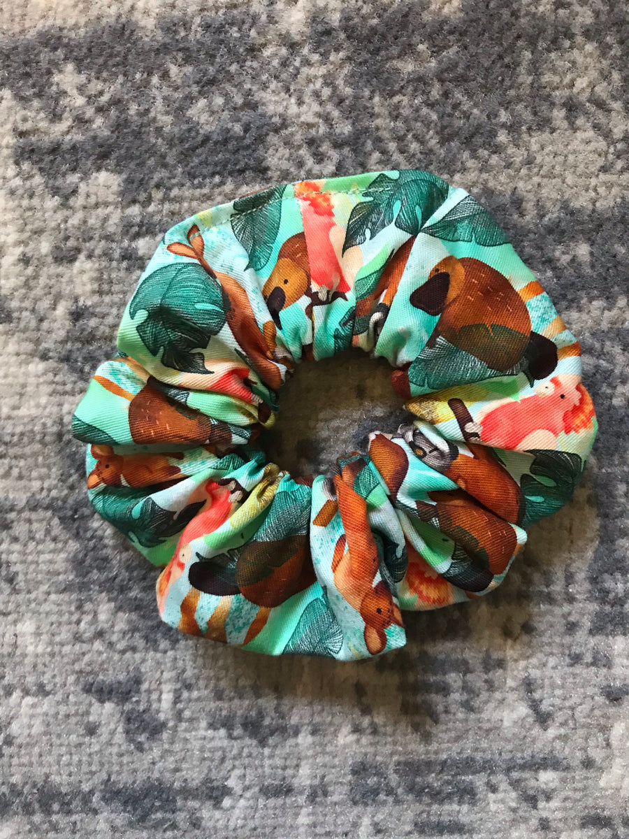 Aussie Animals – Pick of the Scrunch