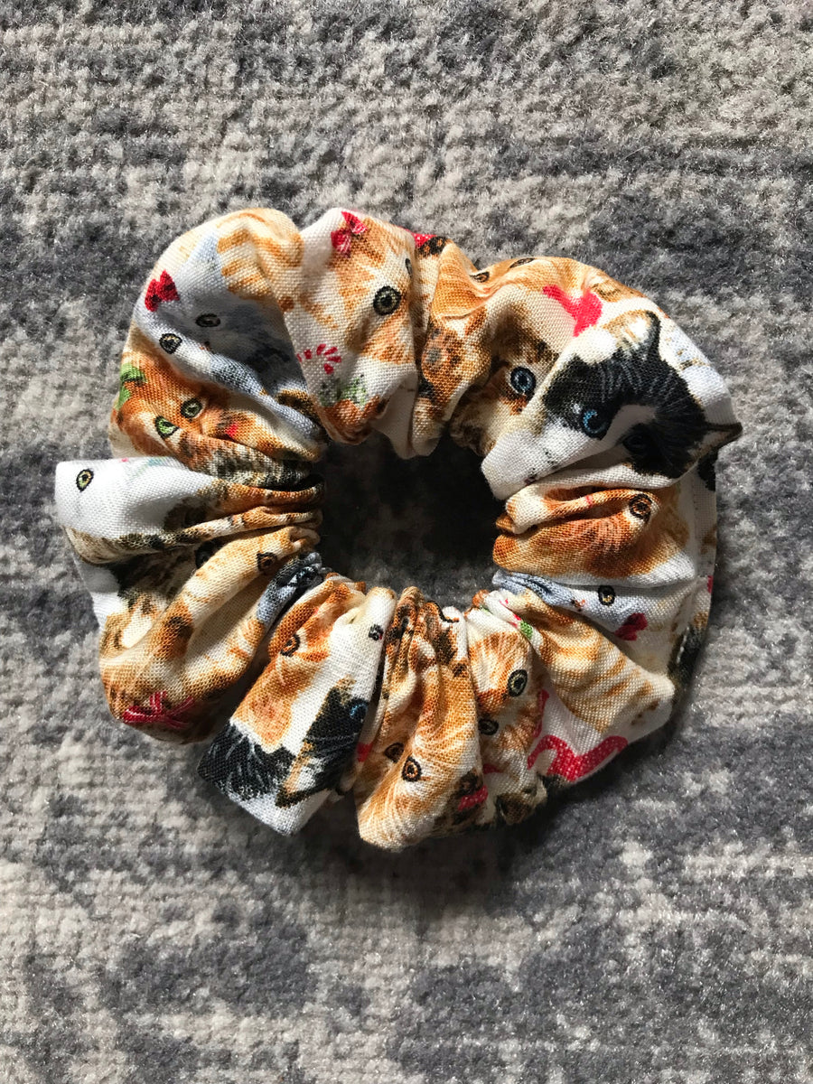 Christmas Cats – Pick of the Scrunch